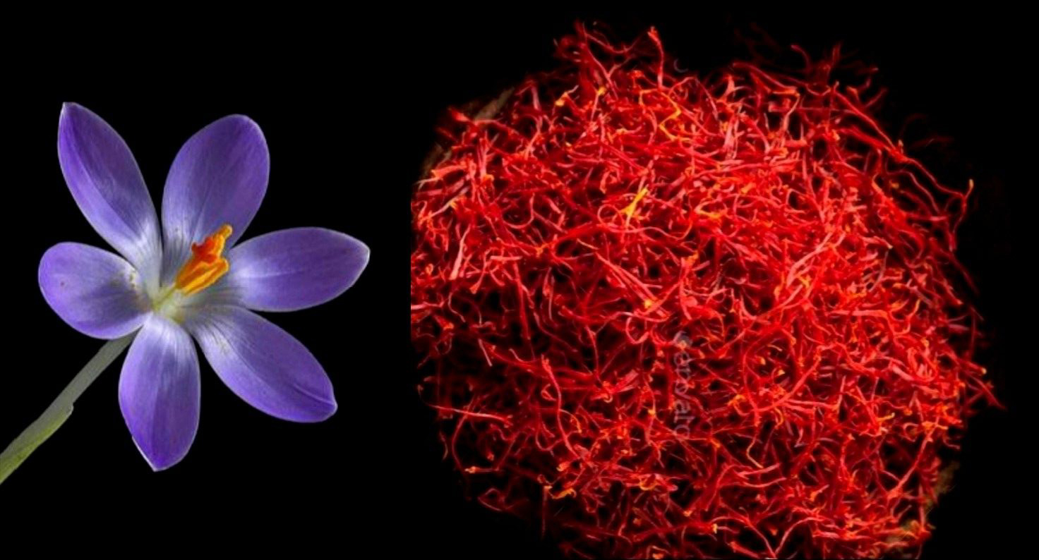 Saffron Wazwan